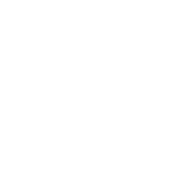 Journeymen Plumbers Union Local 55